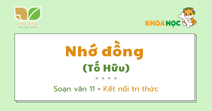 Nhớ đồng (Tố Hữu) - Luyện tập Ngữ văn 11 KNTT - VnDoc.com