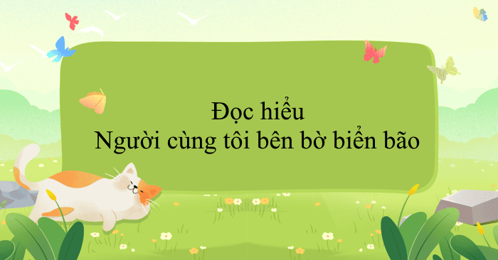 Đọc hiểu Người cùng tôi bên bờ biển bão - Đề đọc hiểu Ngữ văn 12 ...